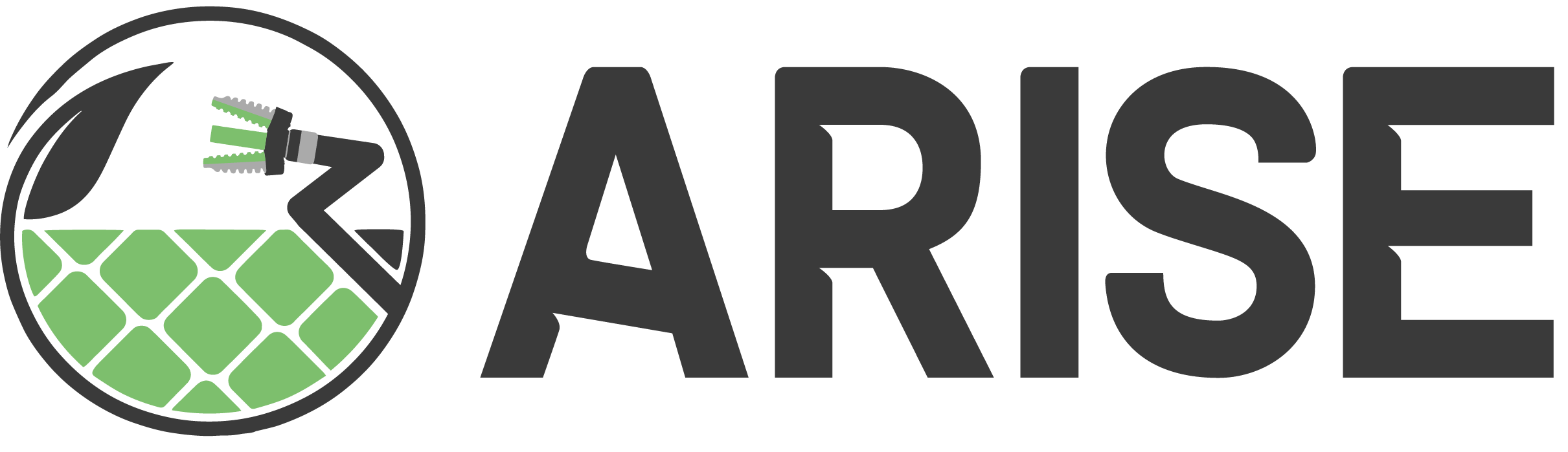 ARISE | alberto | olivares alarcos